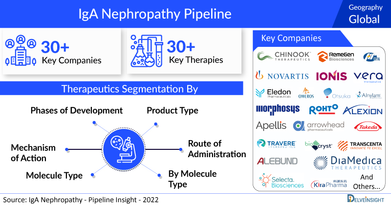 IgA Nephropathy Clinical Trials Pipeline Analysis: 30+
