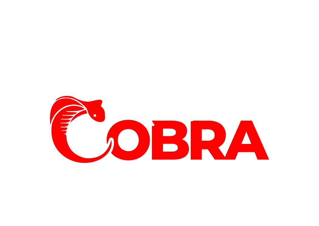 Cobra Fire Blanket Emerges as 2025’s Go-To Alternative to