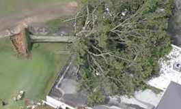 $9.1 Million Jury Verdict Following 2020 Tree-Collapse