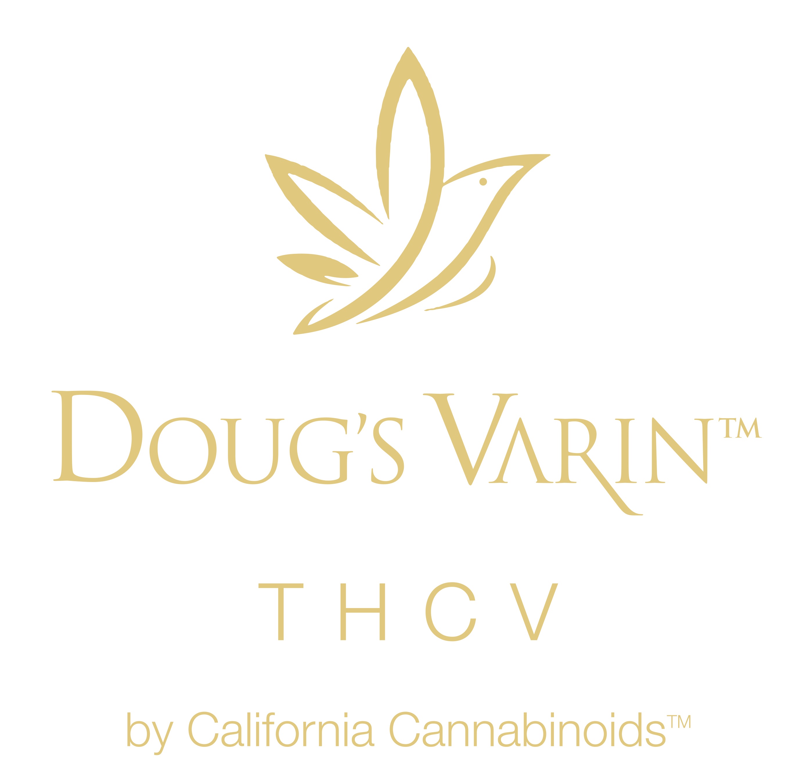 Internationally Renowned Scientist and Cannabis Expert Paul