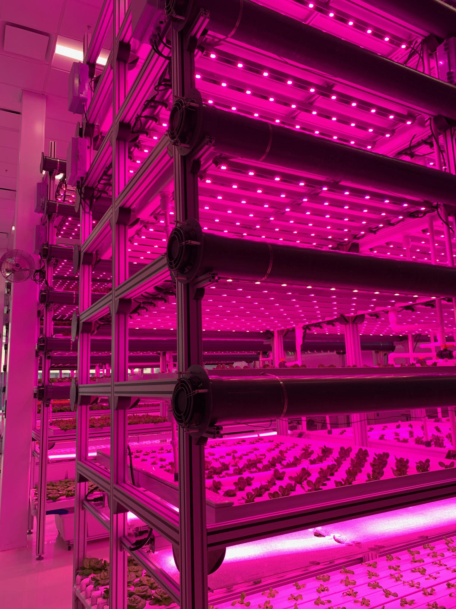 Vertical Farming Leader Kalera’s Newest Facility in Atlanta