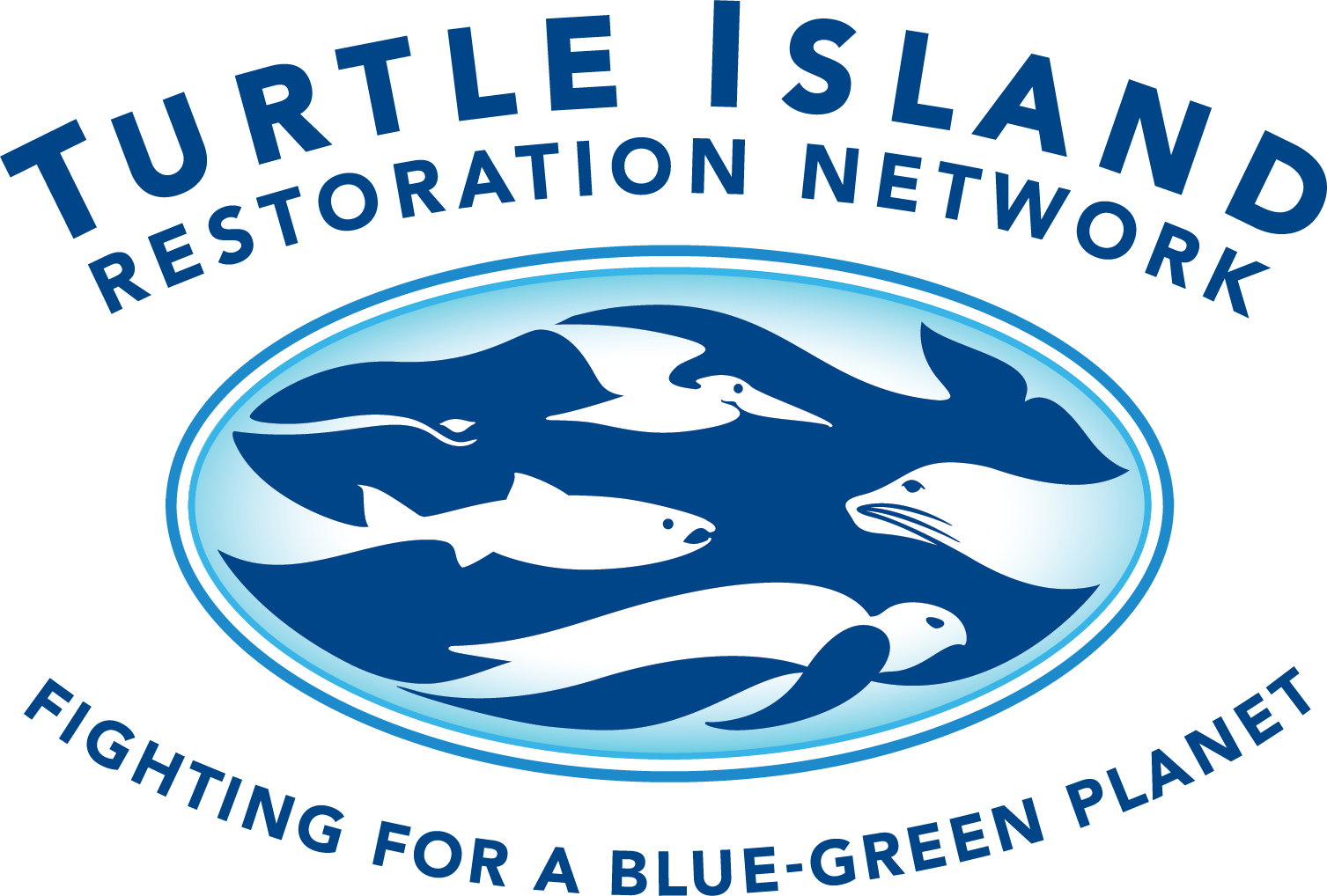 Turtle Island Restoration Network Uses Art to Highlight Sea