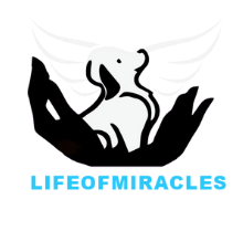 Celebrity Dog “Swaggy Wolfdog” Refuses Candidate