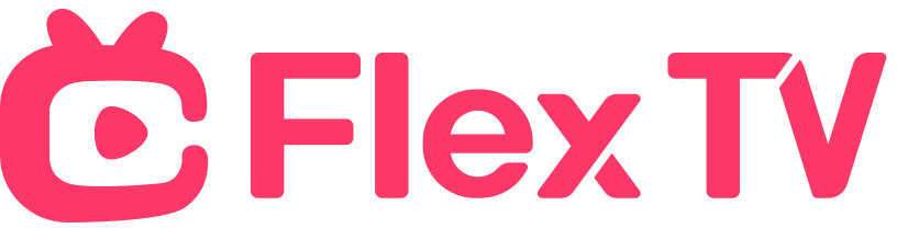 Flex Tv Logo Big Tv Logo Big TV Logo With Red And Yellow Gradient