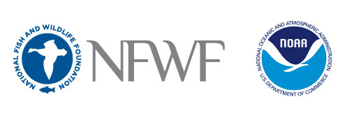 NFWF and NOAA Announce $39.5 Million in Conservation Grants
