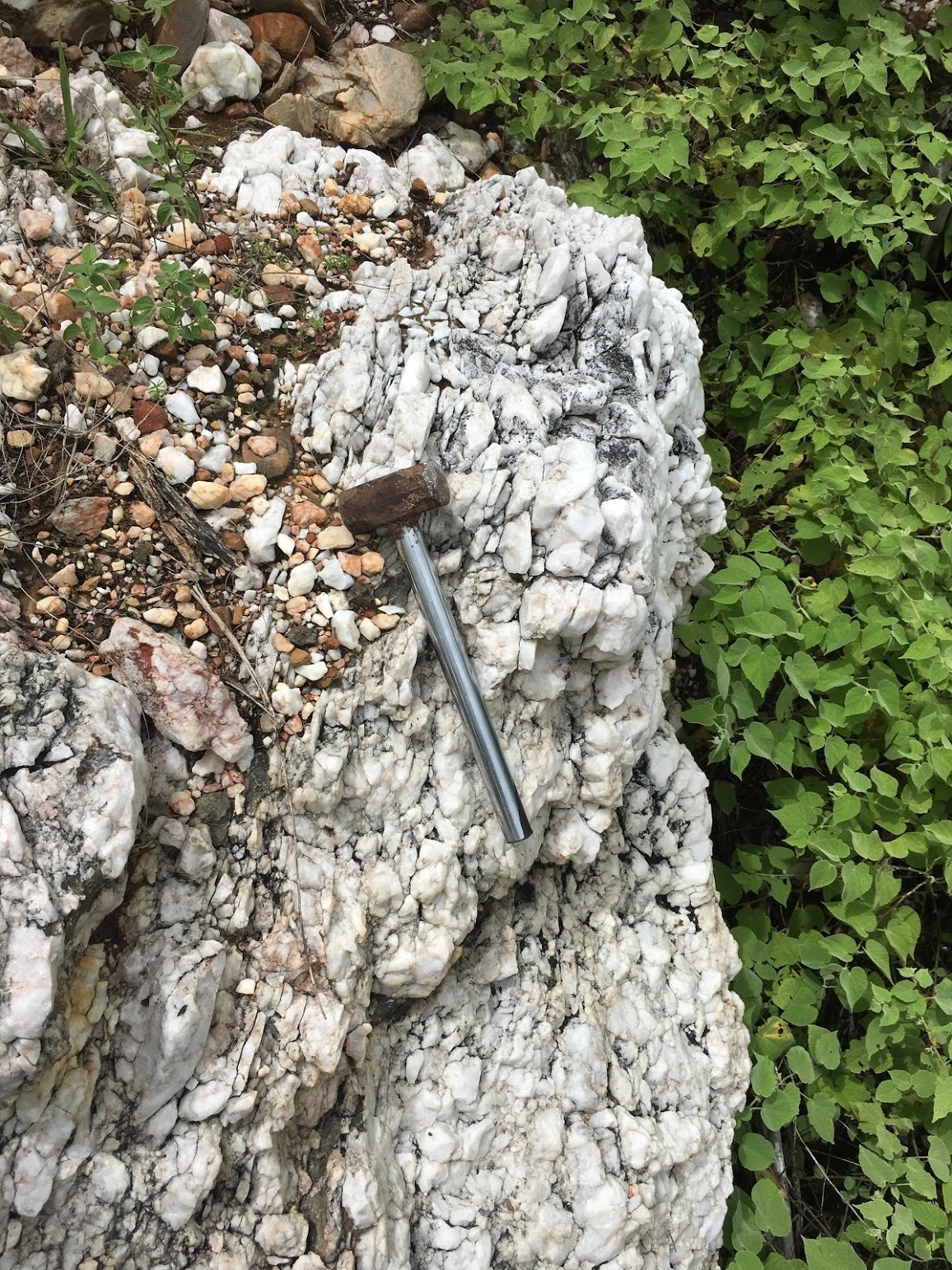 Jupiter Gold Corporation Adds Palladium and Platinum Area