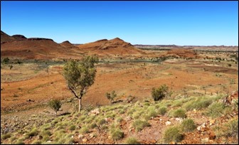 Pilbara Exploration Update