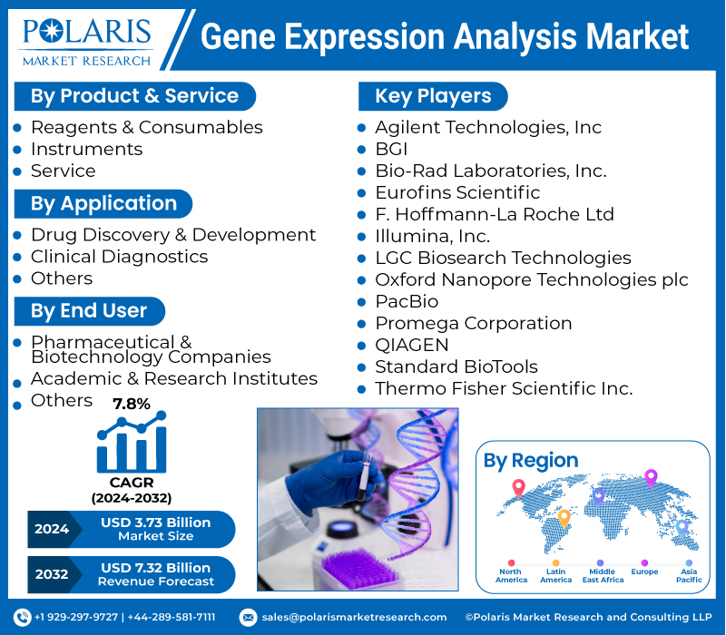 Gene Expression Analysis Market Size Projected to Reach USD