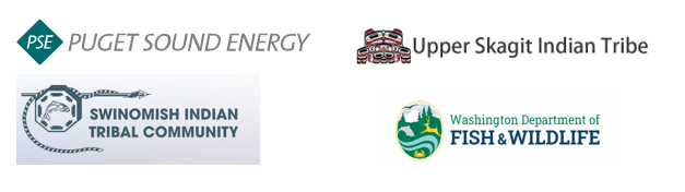 Puget Sound Energy, Upper Skagit Indian Tribe, Swinomish