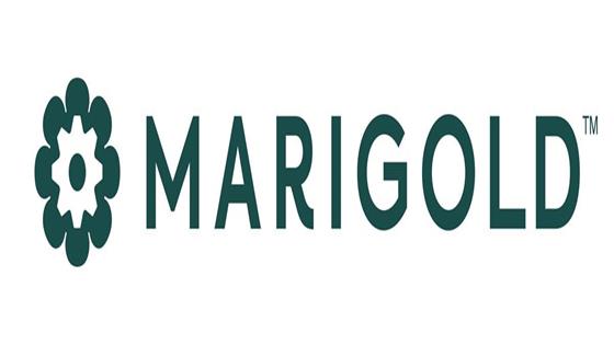 Introducing Marigold: The First Martech Company to Deliver Relationship ...