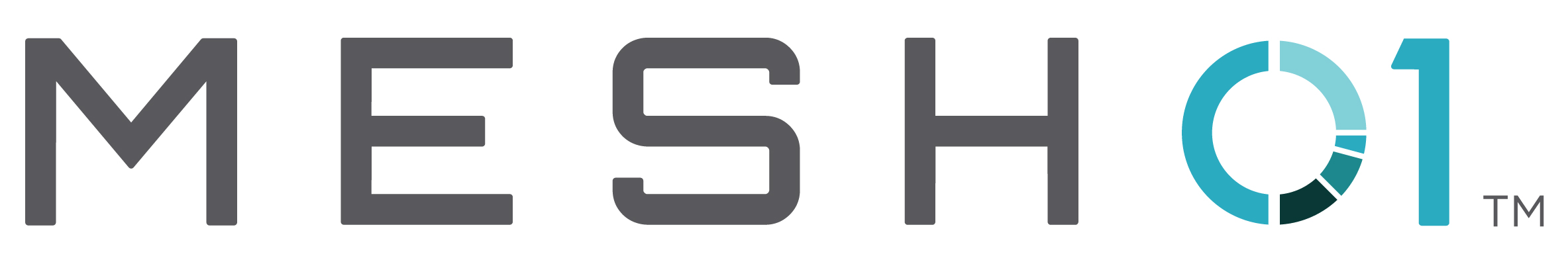 MESH01 Appoints Tim Penasack as President