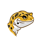 Geeko Dex: The Universal Solution in Crypto Trading