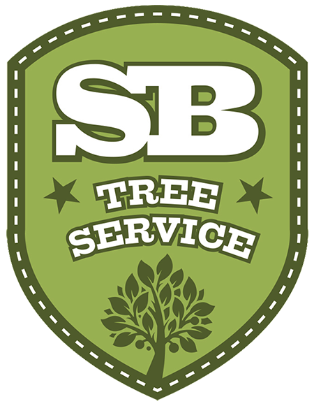 SB Tree Service is Fully Equipped for Hurricane Ian Storm