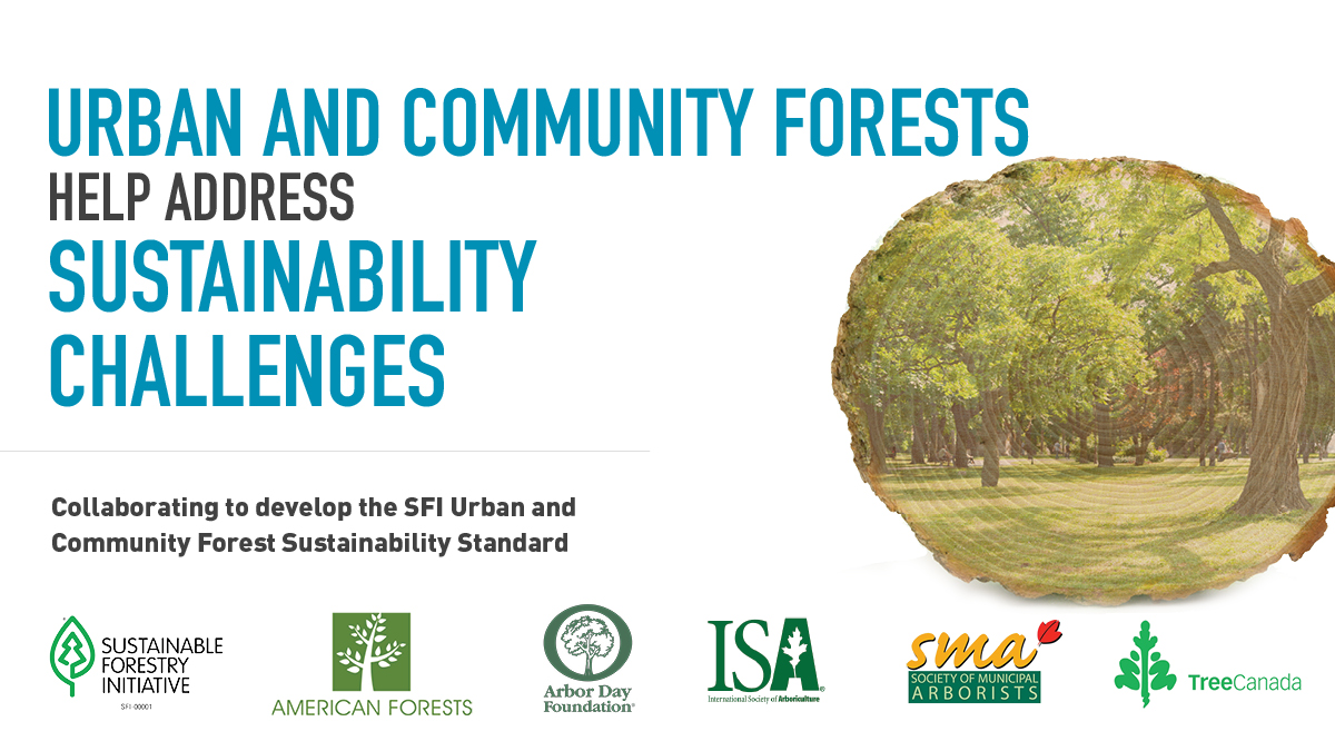 Leading Standards and Urban Forestry Partners Collaborate