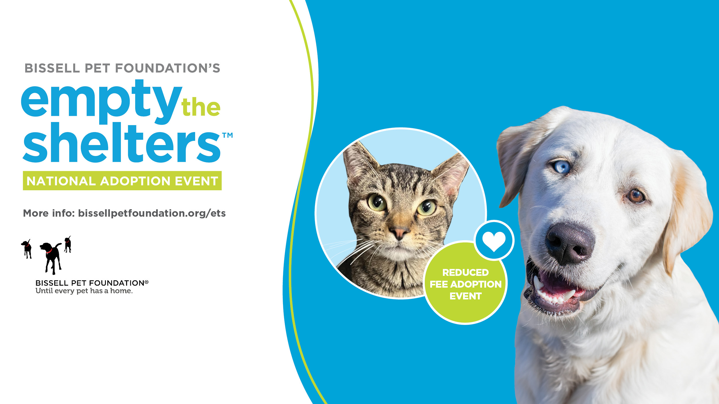 BISSELL Pet Foundation s Empty The Shelters Helps Shelter