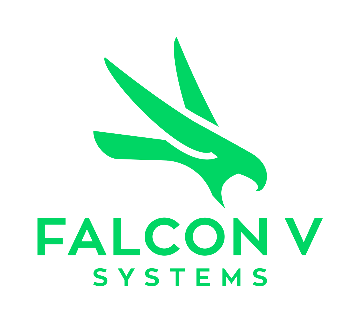 Falcon V Systems Appoints a New CEO, Ulf Andersson, to