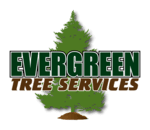 Evergreen Tree Services: Enhancing Community Safety With Professional ...